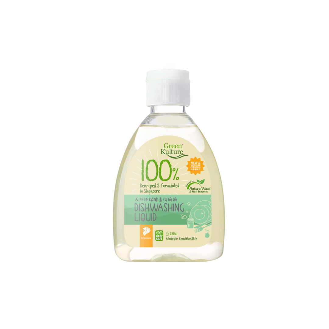 Dishwashing Liquid (250ml)
