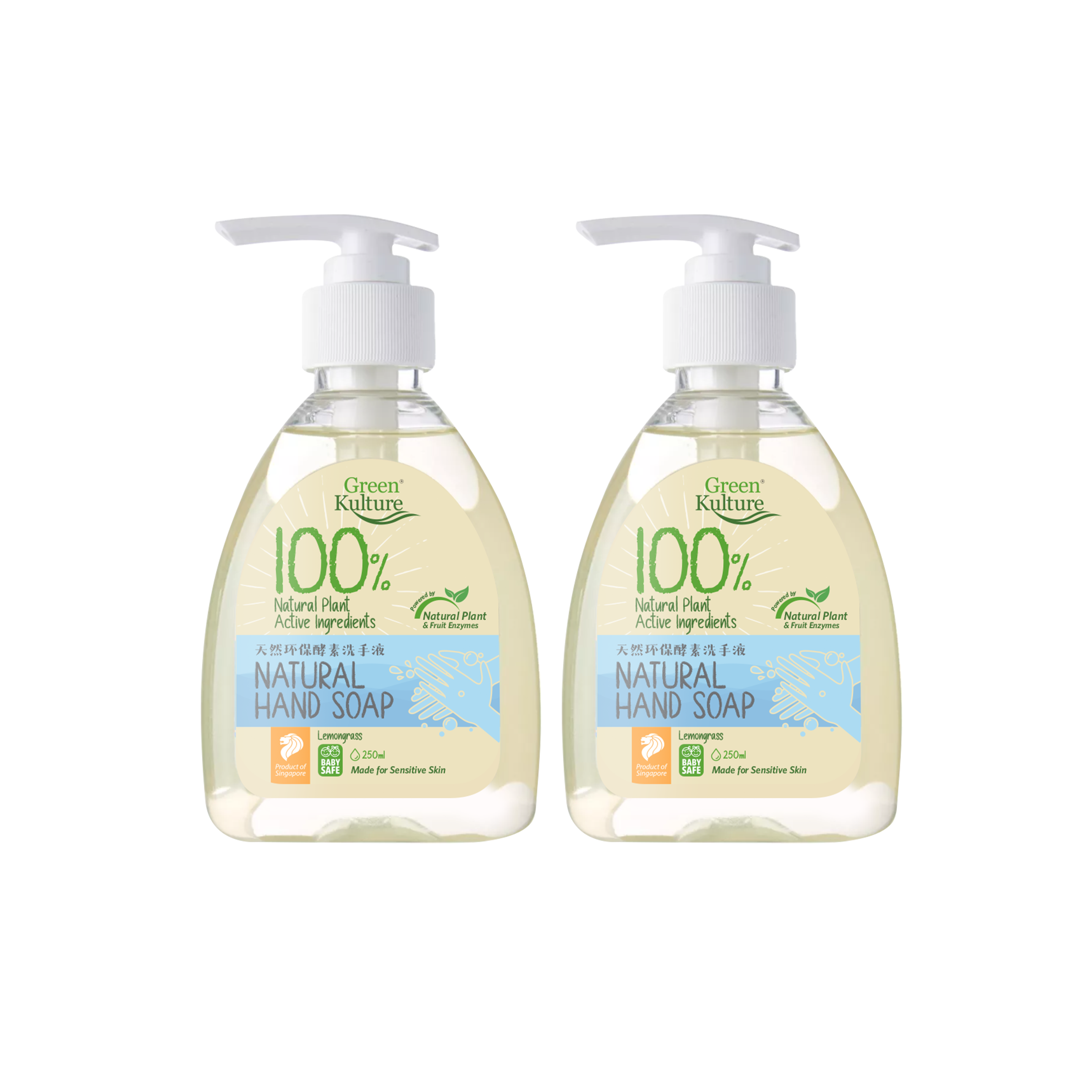 Natural Hand Soap Twin Pack